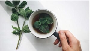 Mint for Digestive Health